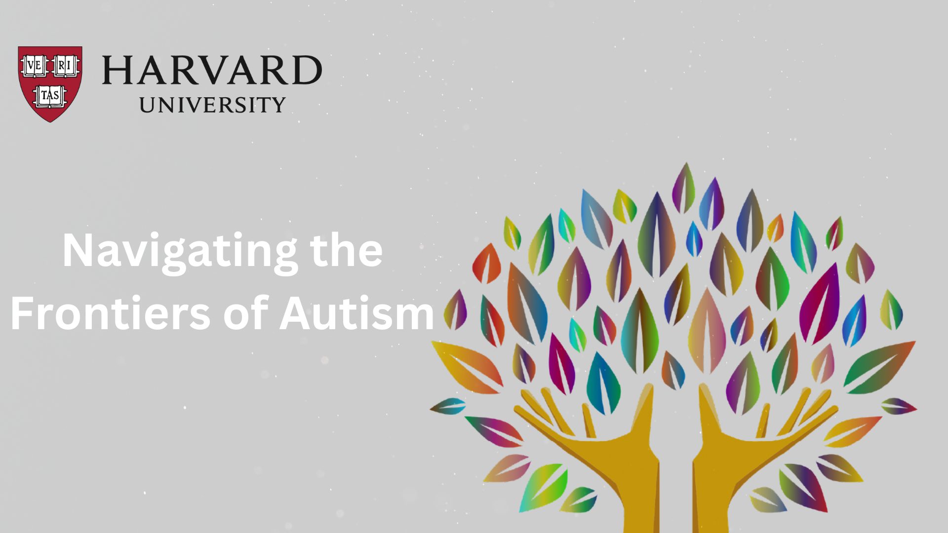 Harvard Navigating The Frontiers Of Autism 2024 | ChidoBook